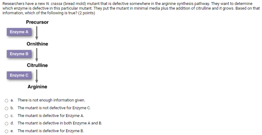Solved Researchers have a new N. crassa (bread mold) mutant | Chegg.com