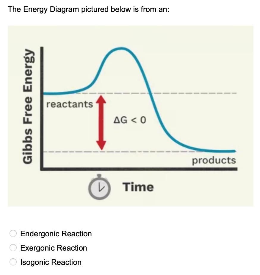 The Energy Diagram pictured below is from an: | Chegg.com