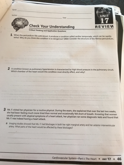 Solved Section UNIT Date 17 Check Your Understanding | Chegg.com