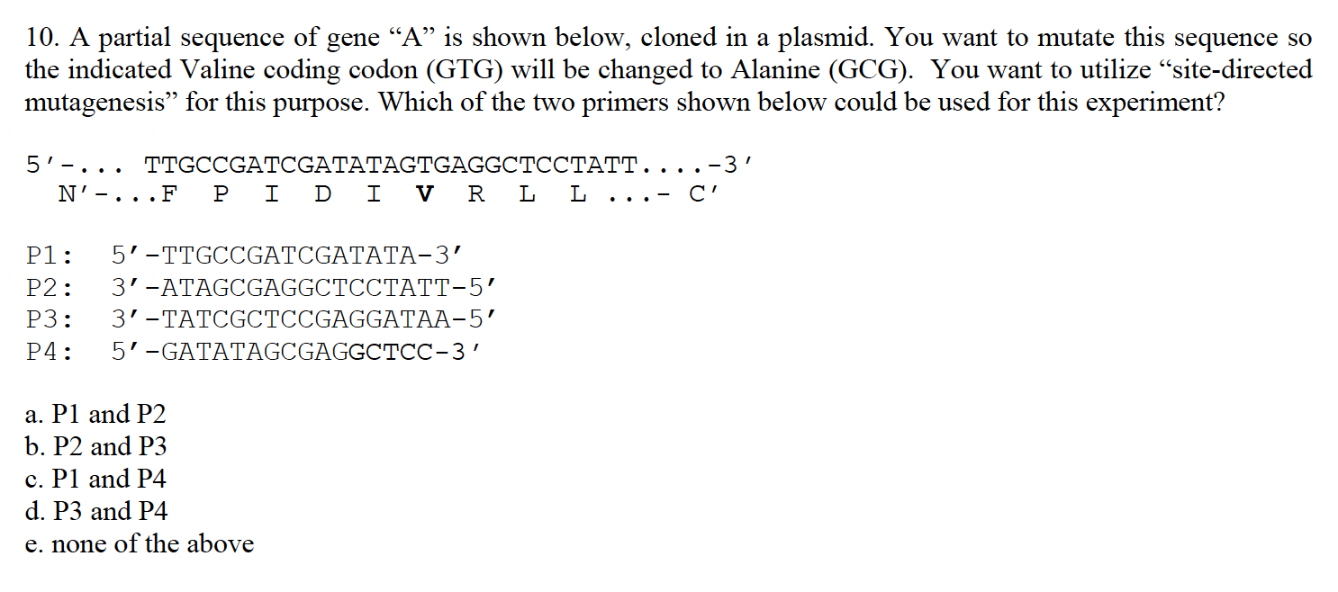 Solved 10. A partial sequence of gene "A" is shown below, | Chegg.com
