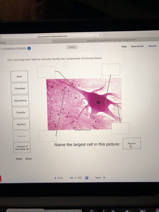 Solved Ine the alveol SUES Help Save & Exit Submit 4 | Chegg.com