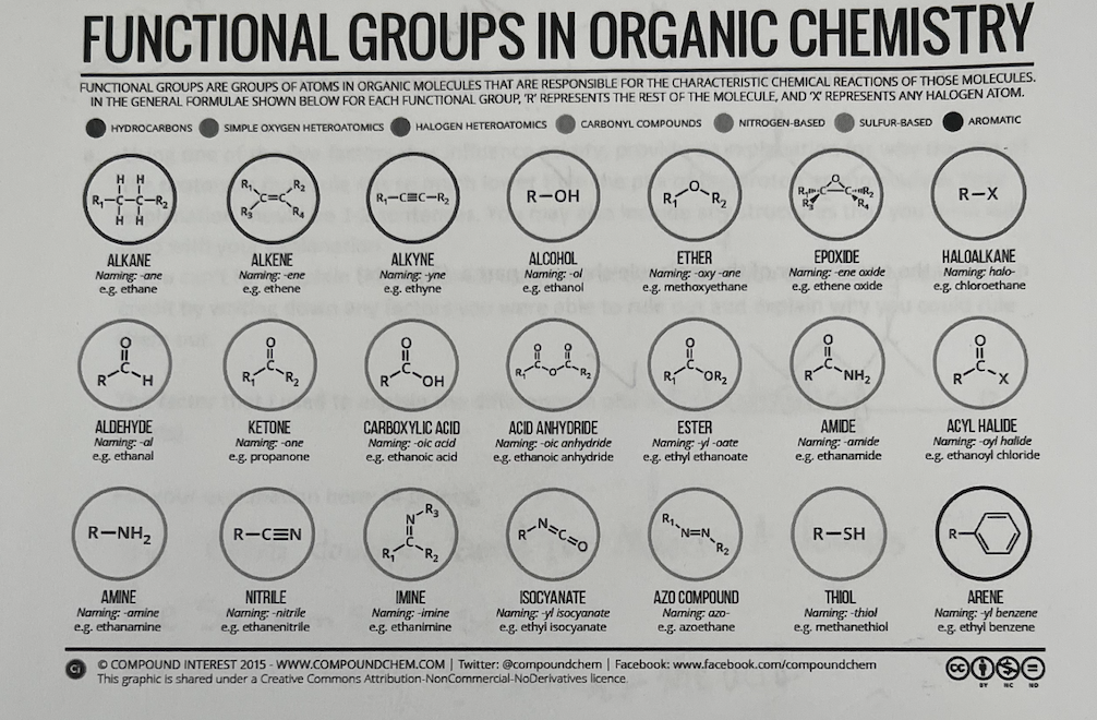 Solved polarity flow chart Please draw one that follows | Chegg.com