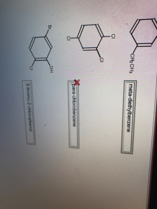 Solved H2 CH3 meta-diethylbenzene Cl CI ara-chlorobenzene OH | Chegg.com