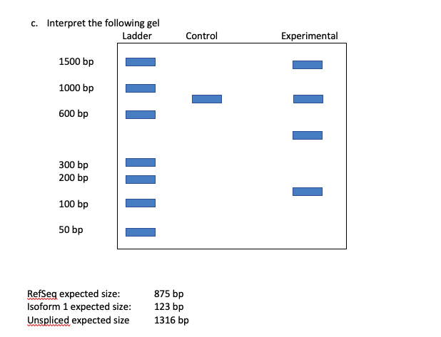 Solved 2. We will call this question. What will my gel look | Chegg.com