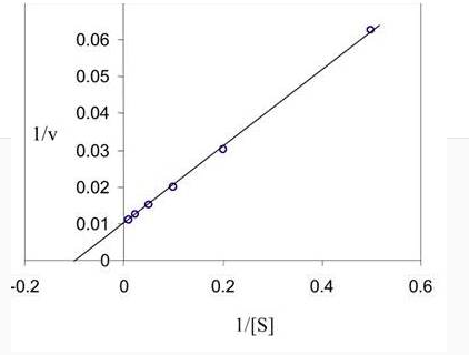 Solved Based on the graph below estimate the Km and Vmax of | Chegg.com