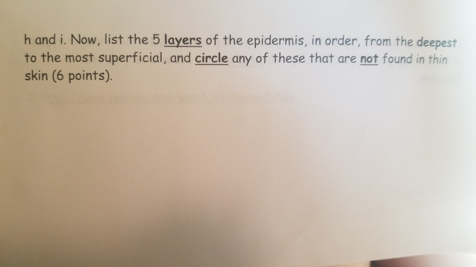 Solved h and i. Now, list the 5 layers of the epidermis, in | Chegg.com