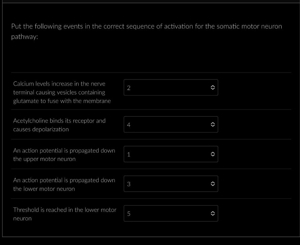 Solved put the following events in the correct sequence of | Chegg.com