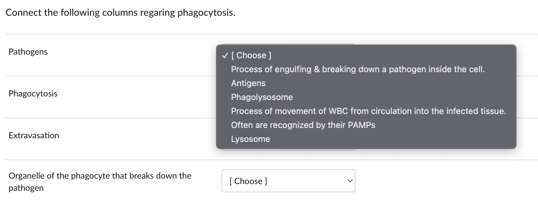 Solved Connect the following columns regaring phagocytosis. | Chegg.com