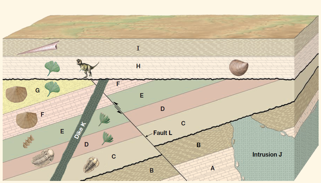 Solved Observe the following geologic block diagram of a | Chegg.com