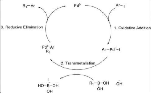 Solved How do I interpret this NMR Spectra of Suzuki | Chegg.com