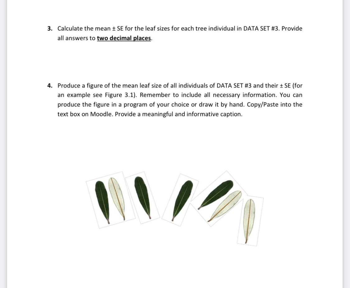 Solved 3. Calculate the mean \pm SE for the leaf sizes for | Chegg.com