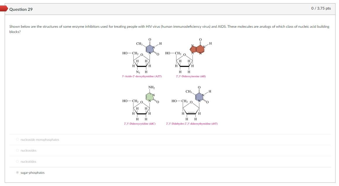 Solved The following diagram shows how recombinant DNA | Chegg.com