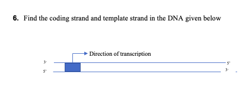 Solved 1. Synthesize the complementary strand=13) 3' | Chegg.com