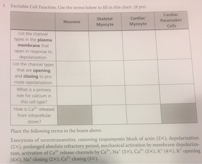 Solved 1. Excitable Cell Function. Use the terms below to | Chegg.com