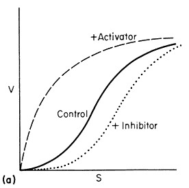 Enzymdiagram Allosterisk Labrapport Oksidativ Fosforylering