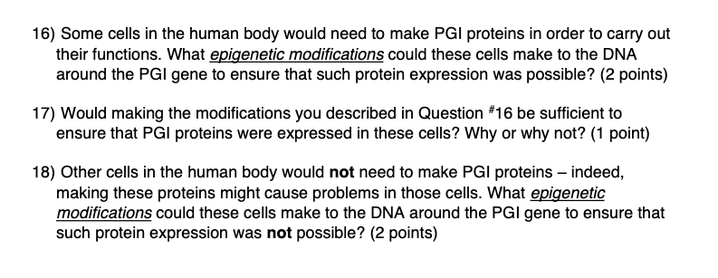 16) Some cells in the human body would need to make | Chegg.com