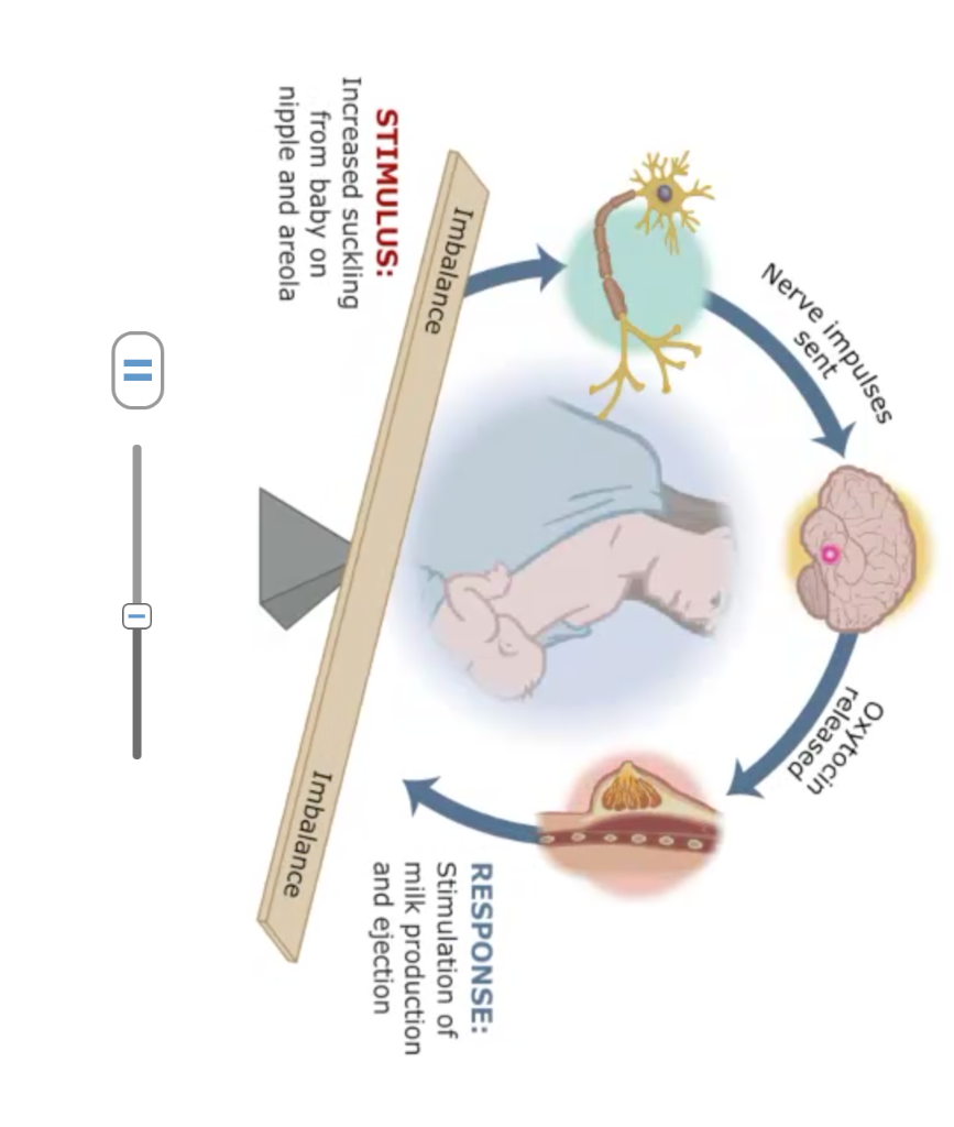 Solved Watch the following animation to learn about another | Chegg.com