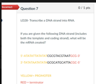 Solved how to solve? Question 7LO28- ﻿Transcribe a DNA | Chegg.com