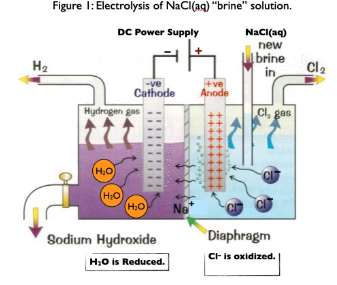 Solved Refer to Figure 1, an illustration of the | Chegg.com
