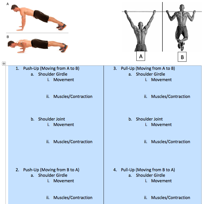 Solved Y B А B 1. Push-Up (Moving from A to B) a. Shoulder | Chegg.com Solved Y B А B 1. Push-Up (Moving from A to B) a. Shoulder | Chegg.com