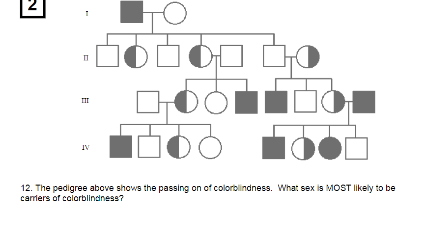 Color Blindness Pedigree 5079