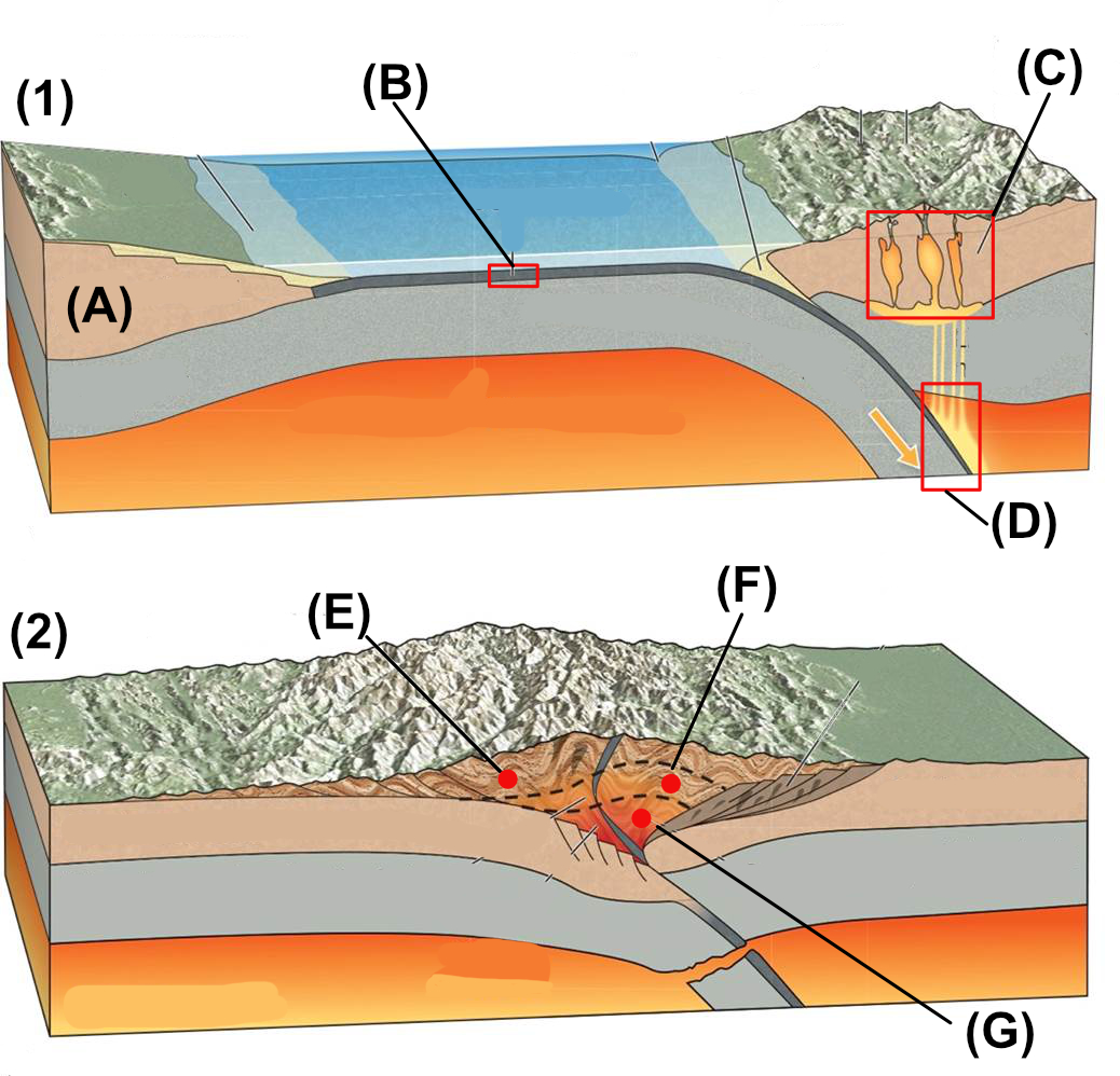 Shield Volcano Cross Section Diagram