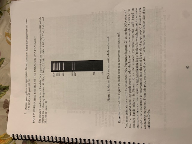 Solved 1. Upload a picture of the semi-log graph paper | Chegg.com