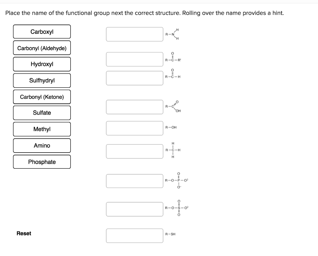 Solved Place the name of the functional group next the | Chegg.com