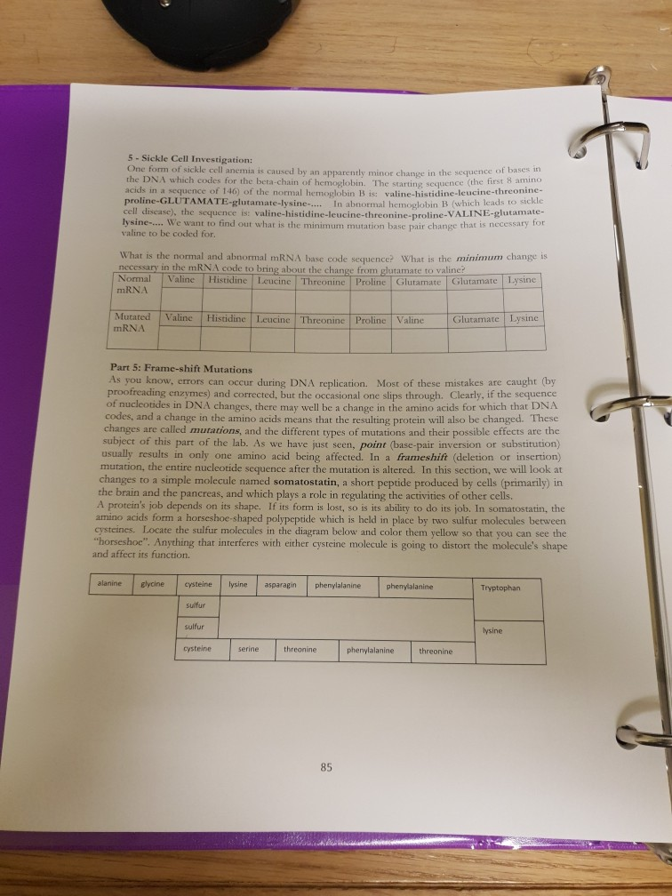 Investigation Dna Proteins And Mutations Answers - Pdf Residue ...