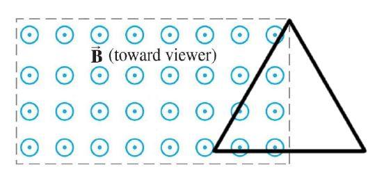 Solved A triangle loop of wire (length of each side is 5 cm | Chegg.com