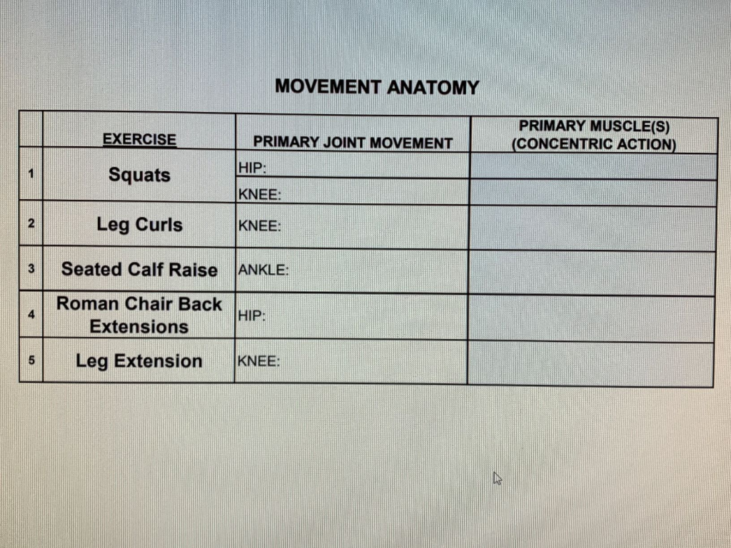 Solved MOVEMENT ANATOMY EXERCISE PRIMARY MUSCLE(S) | Chegg.com