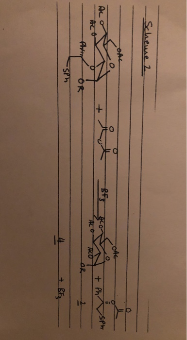 Solved Draw detailed mechanisms to explain the chemistry and | Chegg.com Solved Draw detailed mechanisms to explain the chemistry and | Chegg.com
