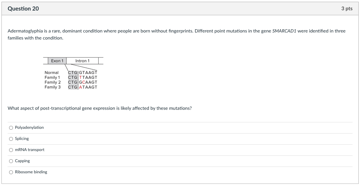 Solved Question 20 3 pts Adermatoglyphia is a rare, dominant | Chegg.com