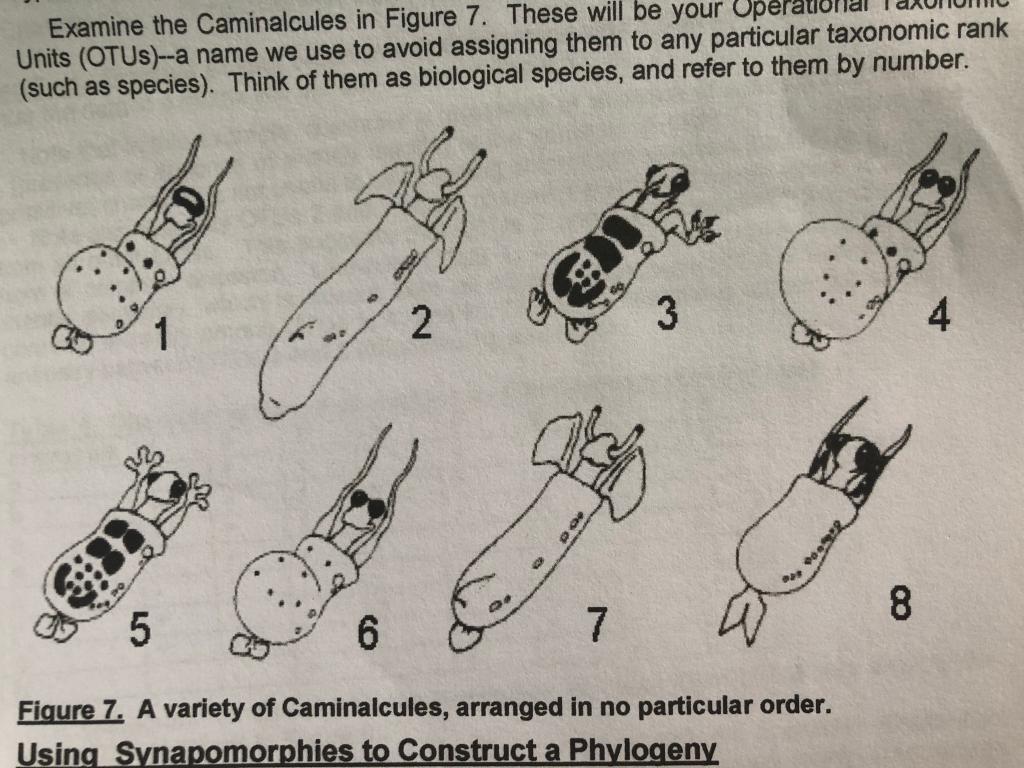 For this one I am having trouble, it asks to create a | Chegg.com