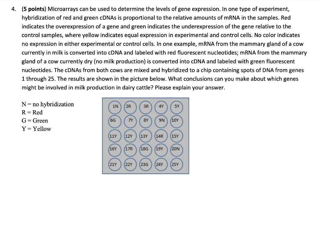 Solved (5 points) Microarrays can be used to determine the | Chegg.com