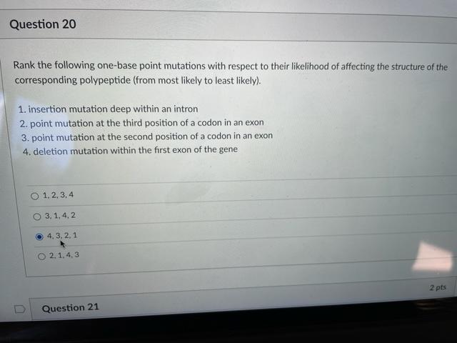Solved Question 20 Rank the following one base point | Chegg.com