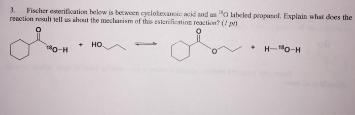 Solved esterification below is between cyclohexanoic acid | Chegg.com