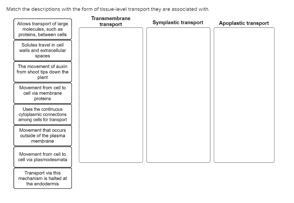 Solved Match the descriptions with the form of tissue-level | Chegg.com
