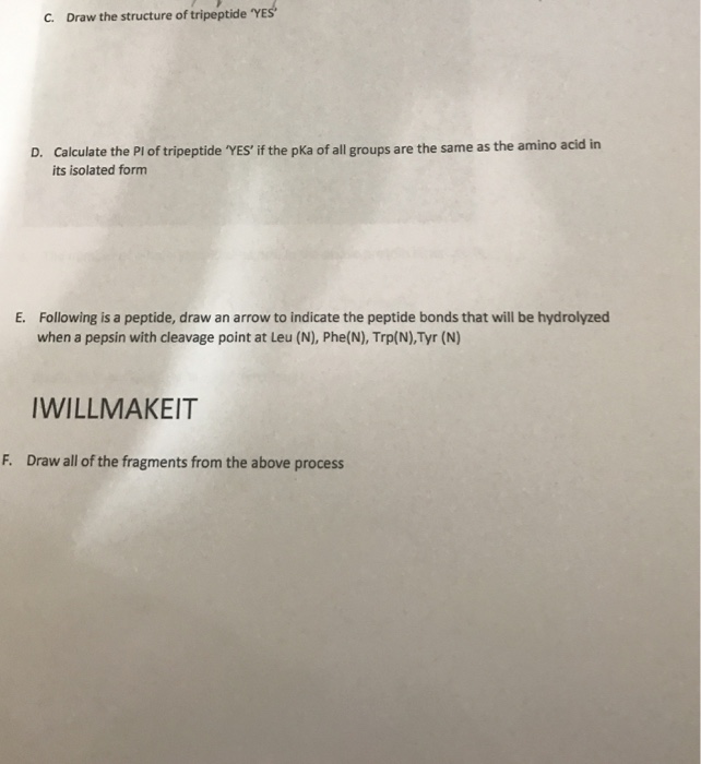 C. Draw the structure of tripeptide "YES" D. | Chegg.com