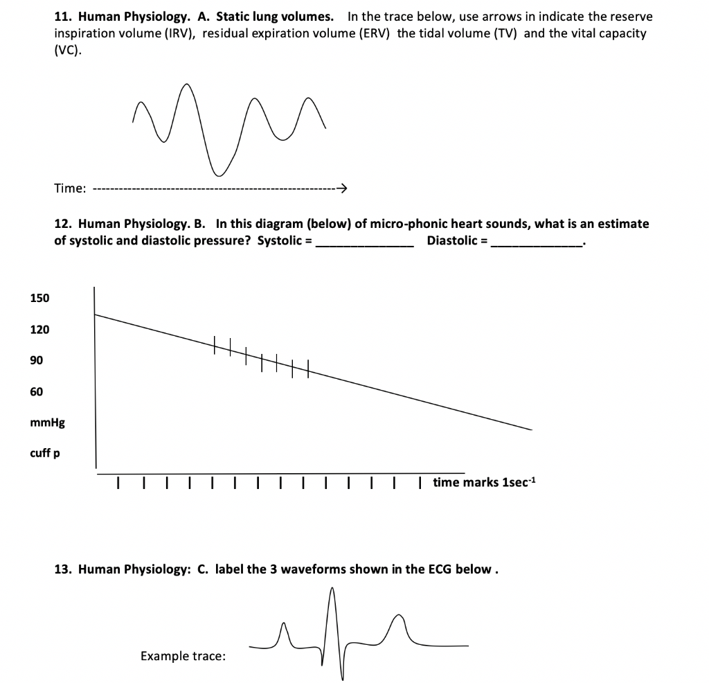 5. Using the horizontal sweep to measure: Determining | Chegg.com