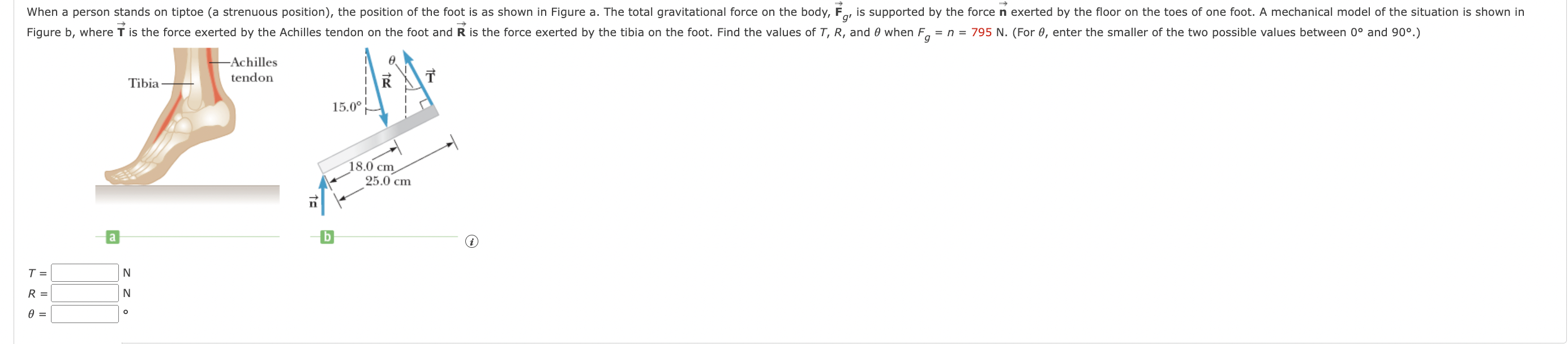 Solved Fg=n=795 N. (Fo | Chegg.com