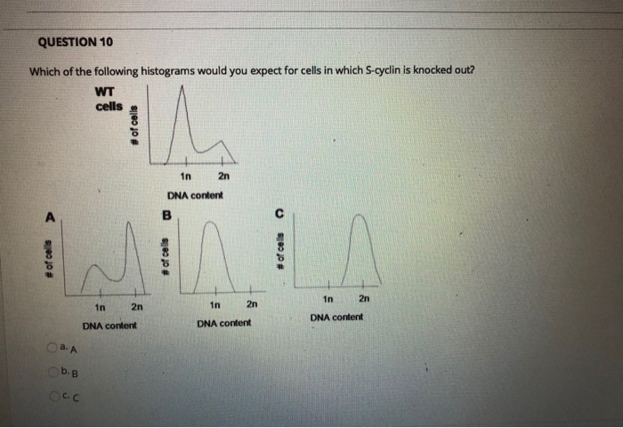 Solved QUESTION 9 1 points Save Answer Which of the | Chegg.com