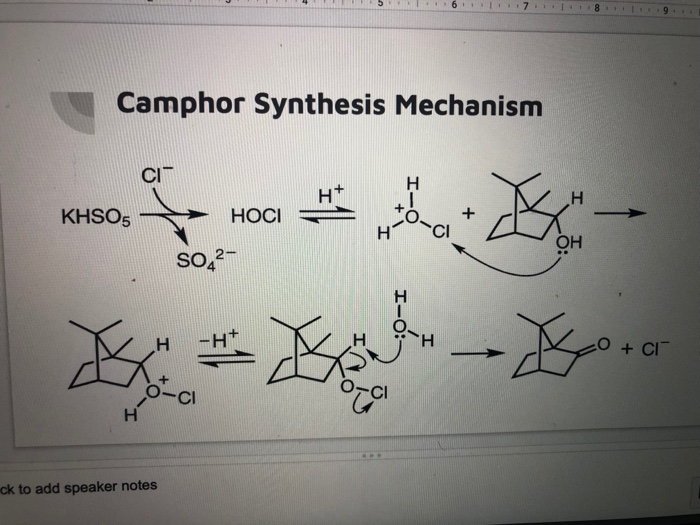 Solved Camphor Synthesis Mechanism Cl- OH soa 4 o-c ck to | Chegg.com