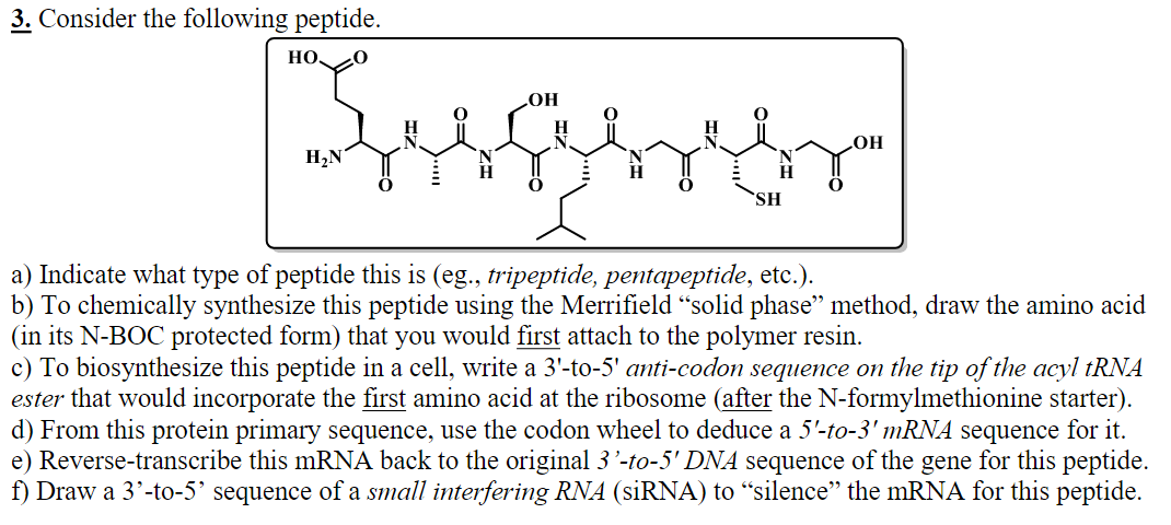 Solved 3. Consider the following peptide. a) Indicate what | Chegg.com