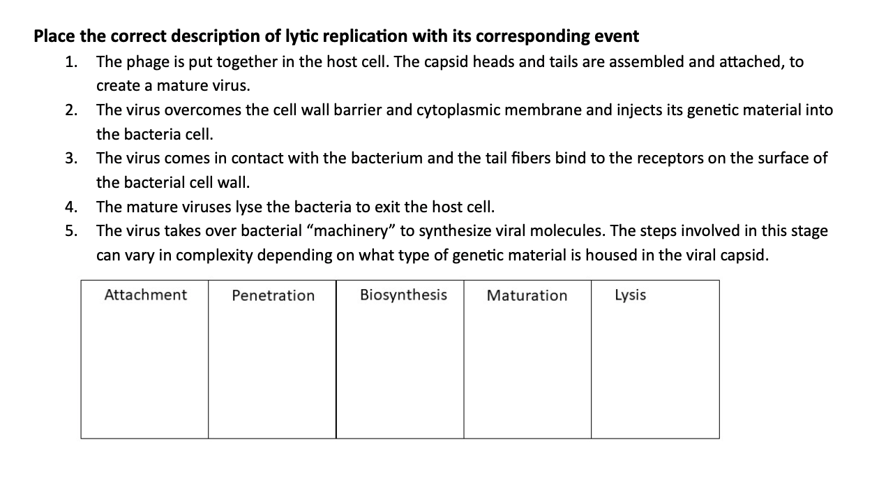 Solved Place The Correct Description Of Lytic Replication
