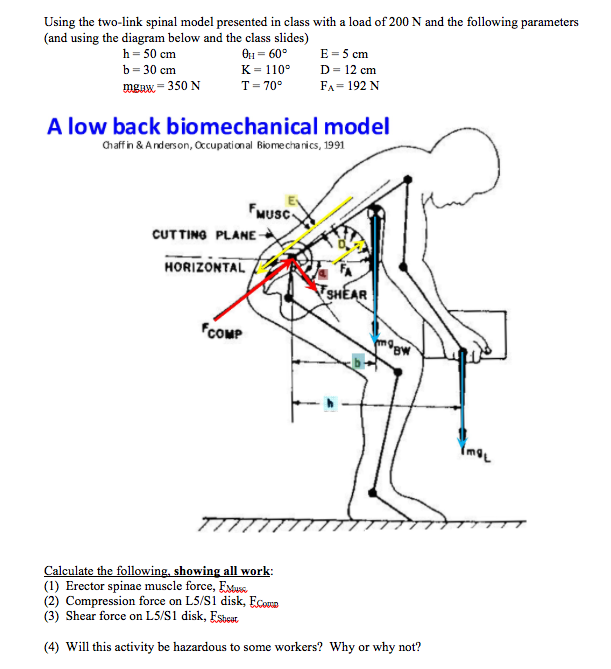 Biomechanics question Please show work and do not | Chegg.com