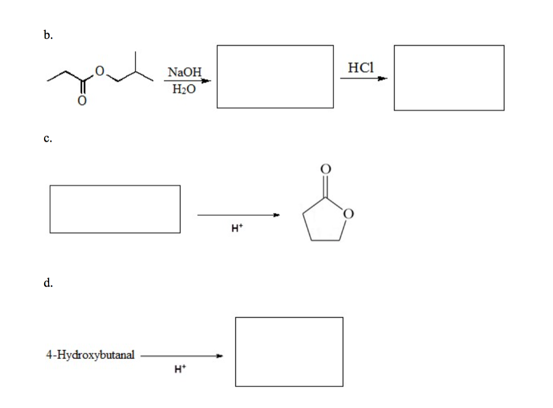Solved 1. Shown below is a typical fat. (a) Draw all of the | Chegg.com