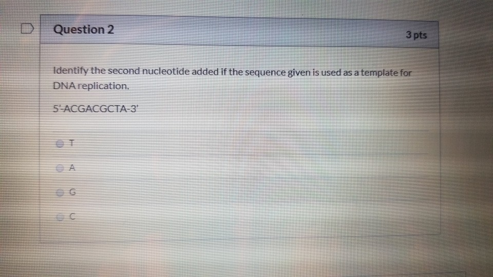 Solved Question 2 3 pts Identify the second nucleotide added | Chegg.com