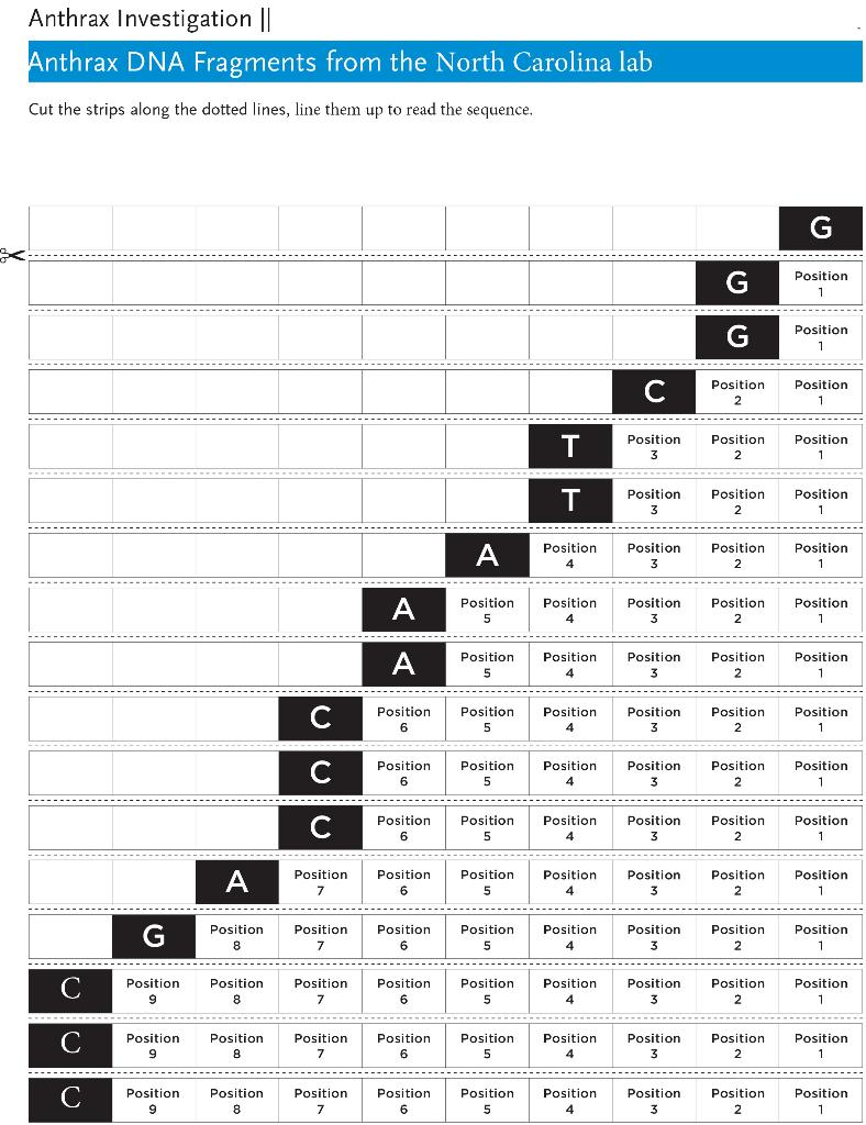Solved Anthrax Investigation || Anthrax DNA Fragments from | Chegg.com