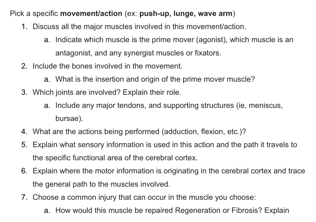Solved Pick a specific movement/action (ex: push-up, lunge, | Chegg.com